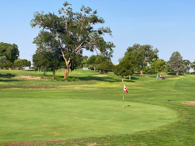 Executive Golf Course – Los Altos Golf Course